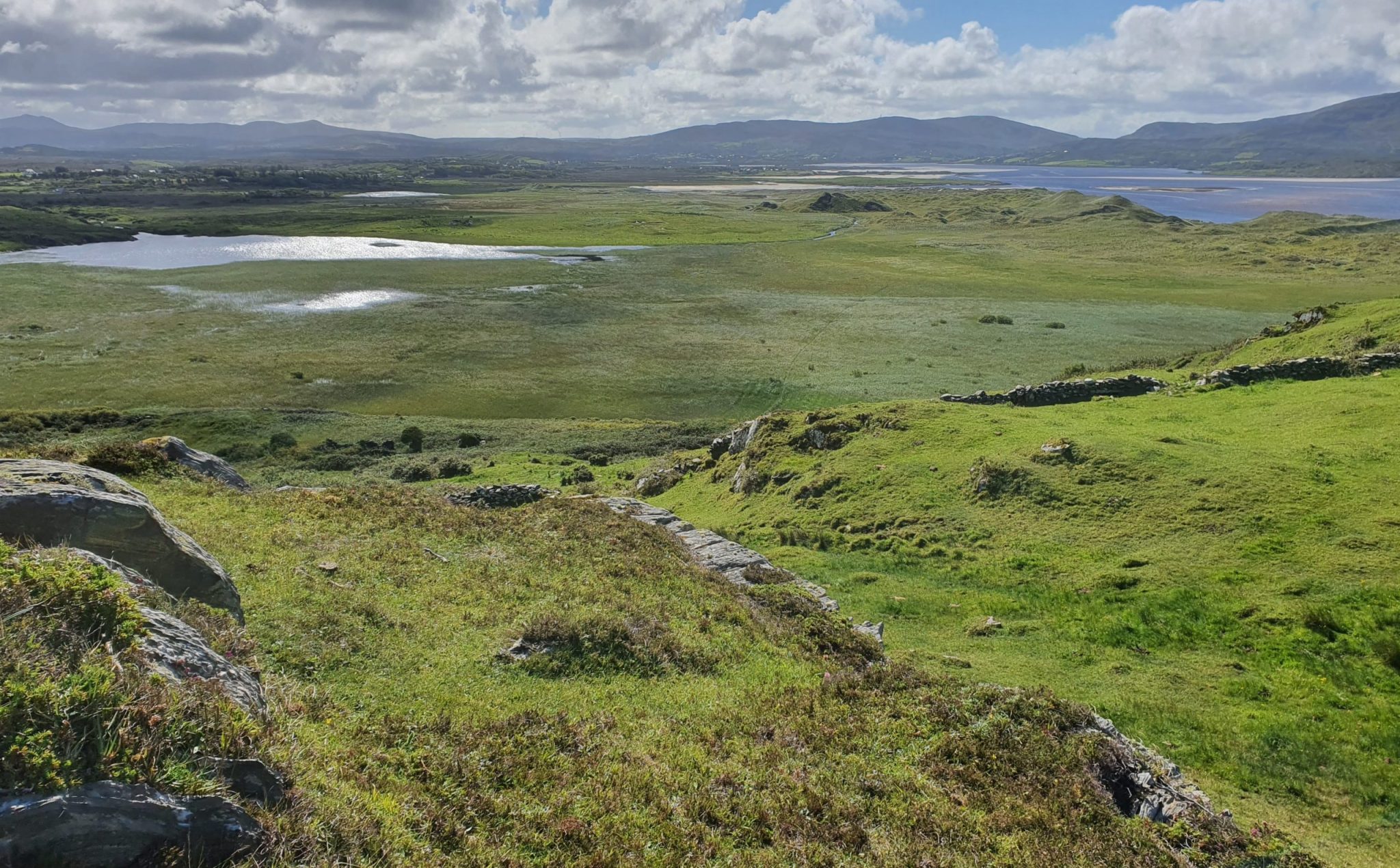 ‘Grasslands Trail’ - Great Irish Grasslands