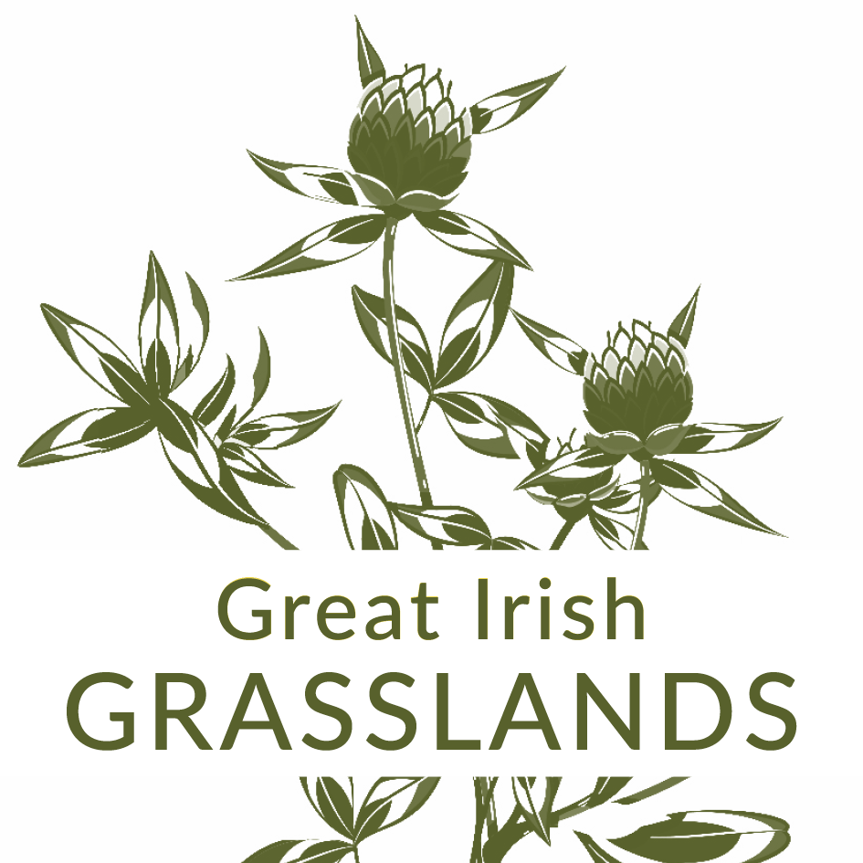 Sir Thomas and Lady Dixon Park - Great Irish Grasslands